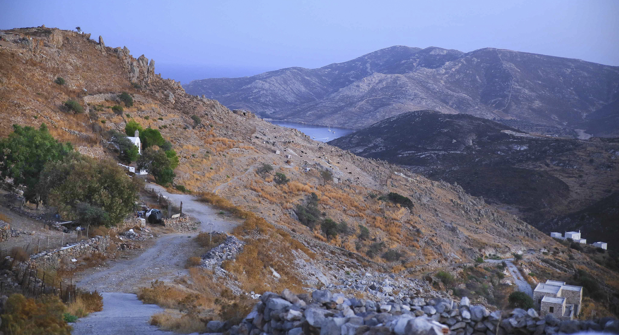 Paradise Complex | The Point Magazine