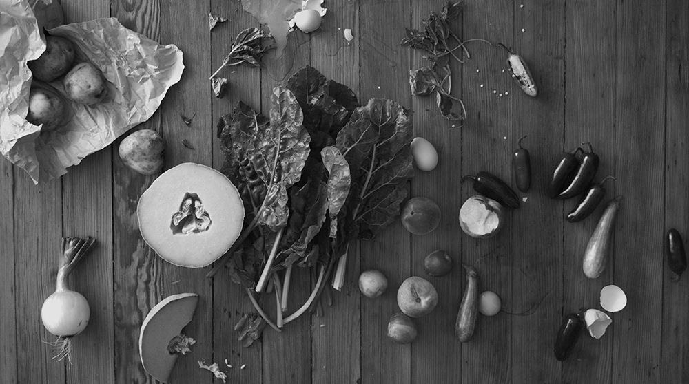 A Plea for Human Food | The Point Magazine