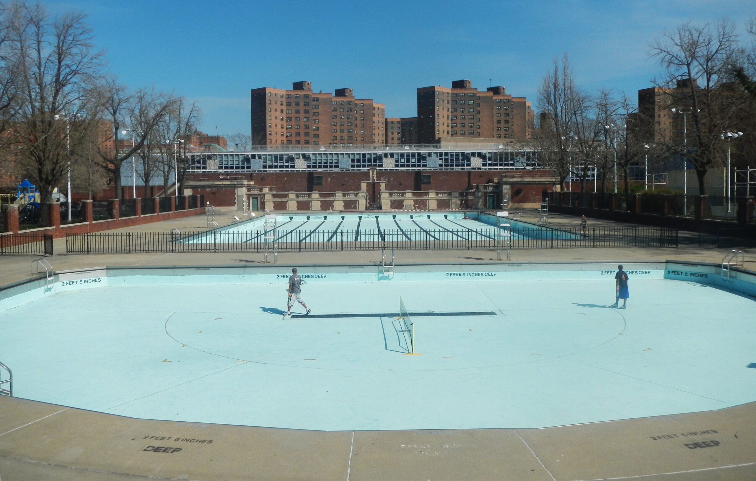 Among the Hamilton Fish | The Point Magazine